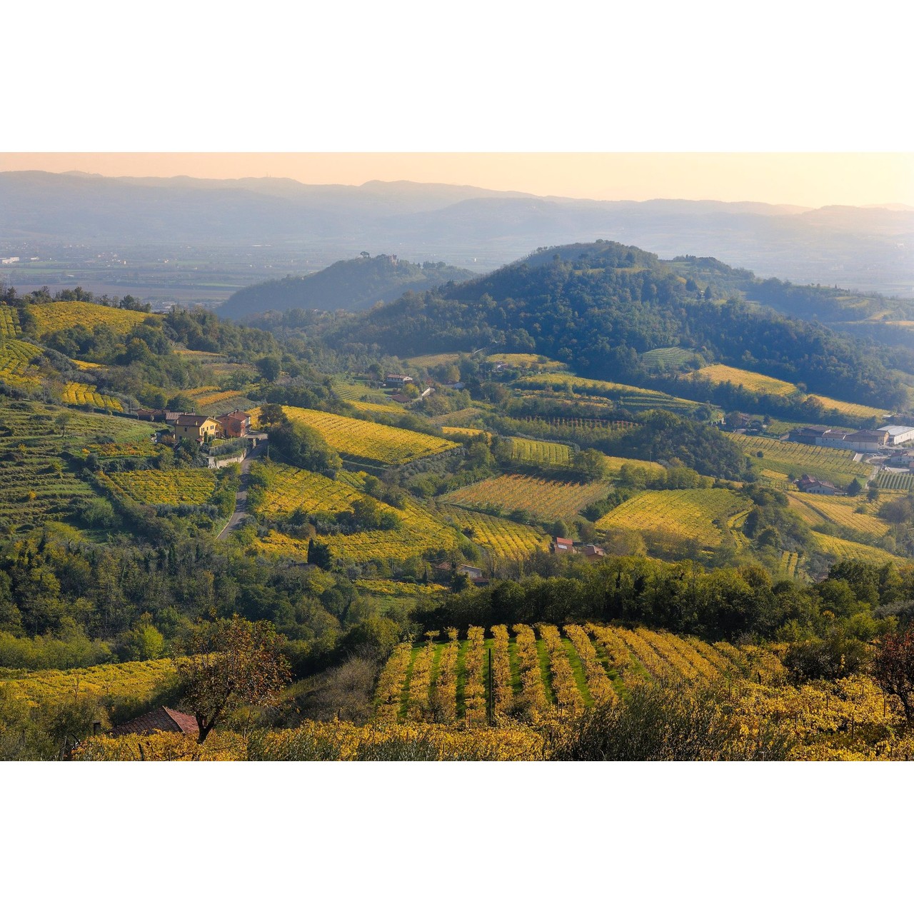 Faldeo Prosecco - Ocado
