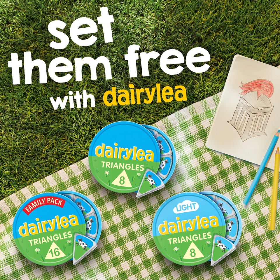 Dairylea Cheese Spread Triangles 16 Pack - Ocado