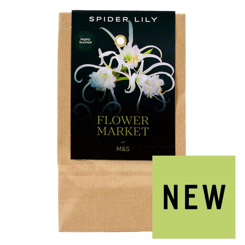 M&S Spider Lily Bulbs - Ocado
