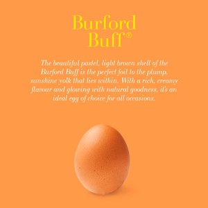Clarence Court Burford Buff 6 Large Free Range Eggs - Ocado