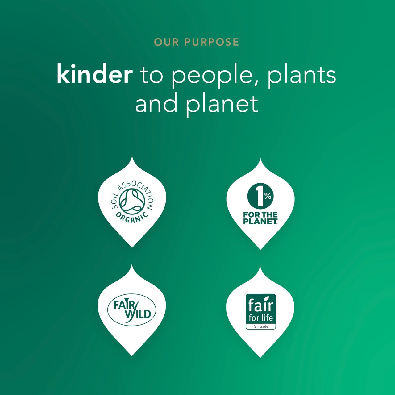 PUKKA Organic Three Mint Tea with Peppermint 40 Herbal Tea Bags - Ocado