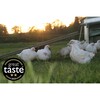 Packington Free Range Large Chicken - Ocado