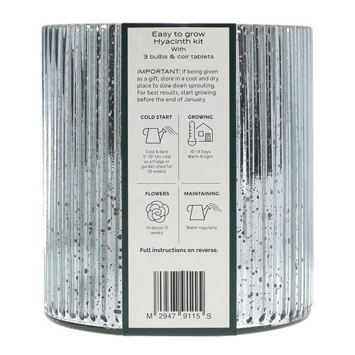 M&S Hyacinth Bulb Glass - Purple Sensation - Ocado