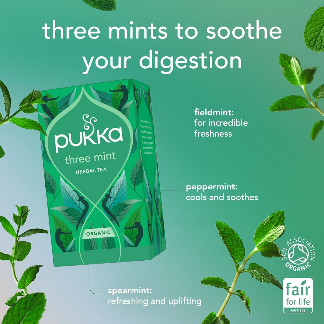 Pukka Organic Three Mint Tea With Peppermint x20Compostable Herbal Tea ...