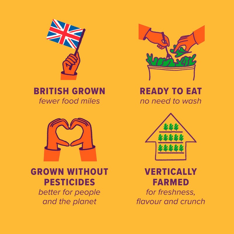 Unbeleafable Mixed Babyleaf Salad - Ocado