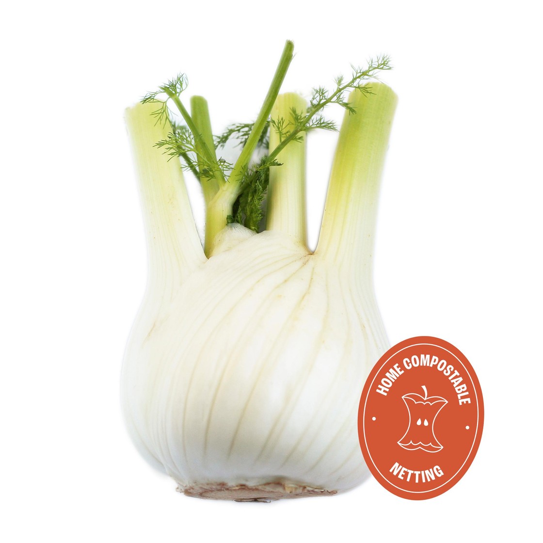 Wholegood Organic Fennel - Ocado