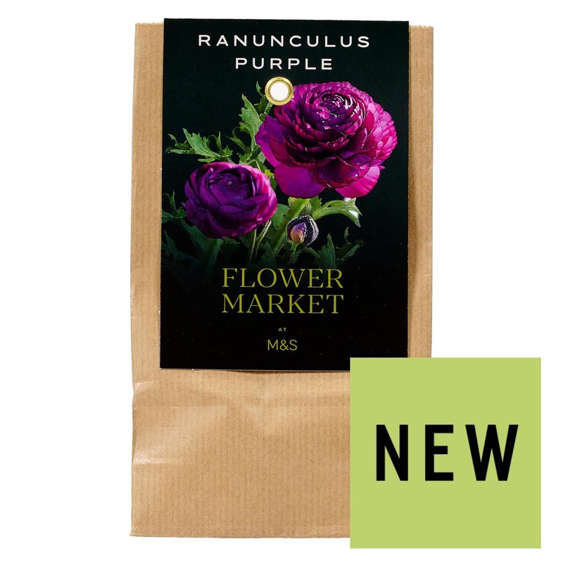 M&S Ranunculus Purple Bulbs - Ocado