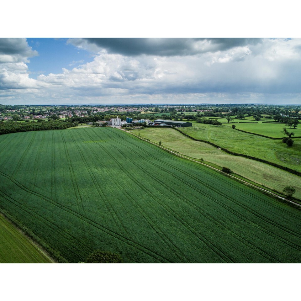 Belton Farm Smoked Red Fox Aged Red Leicester - Ocado