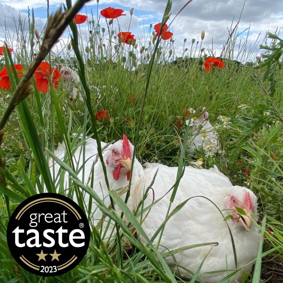 Packington Free Range Large Chicken - Ocado