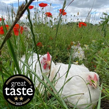 Packington Free Range Large Chicken - Ocado