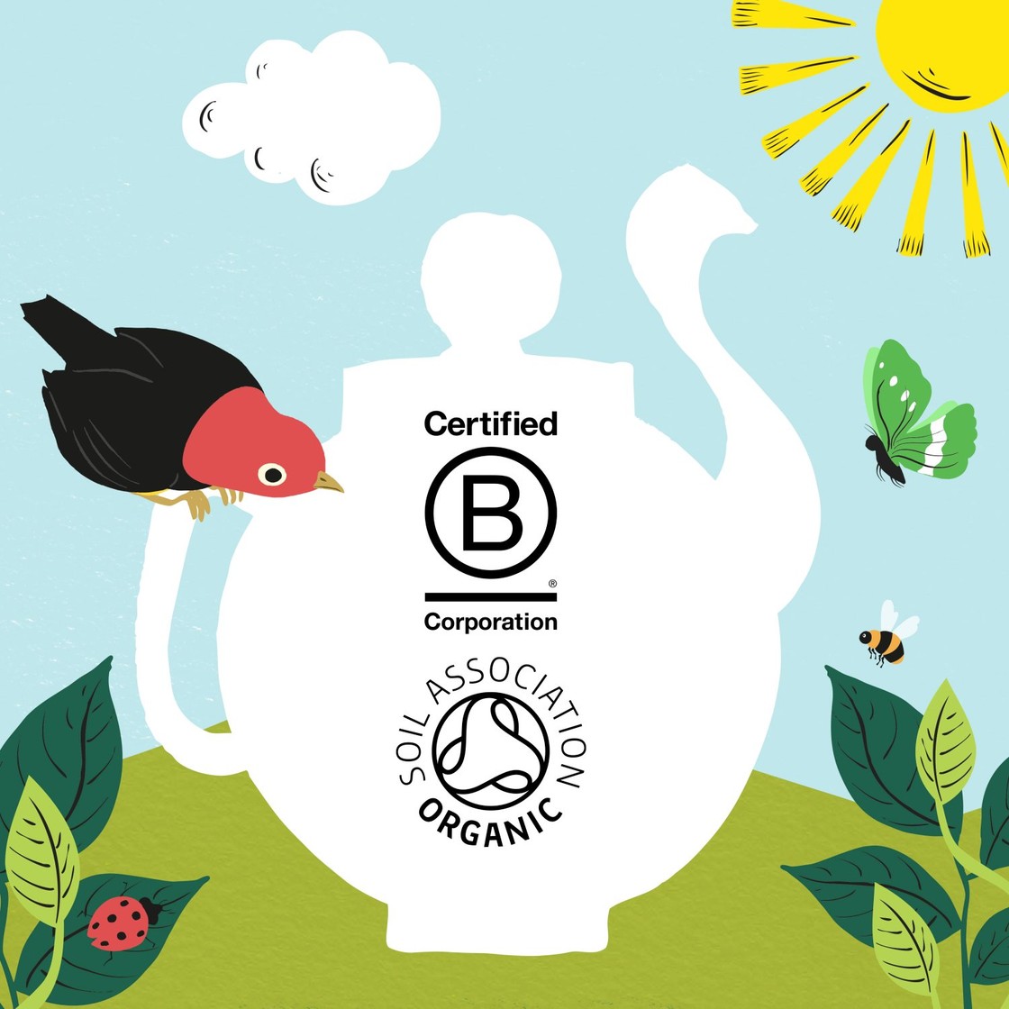 Clipper Organic & Fairtrade Green Tea - Ocado