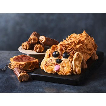 M&S Ralph the Cavapoo Cake - Ocado