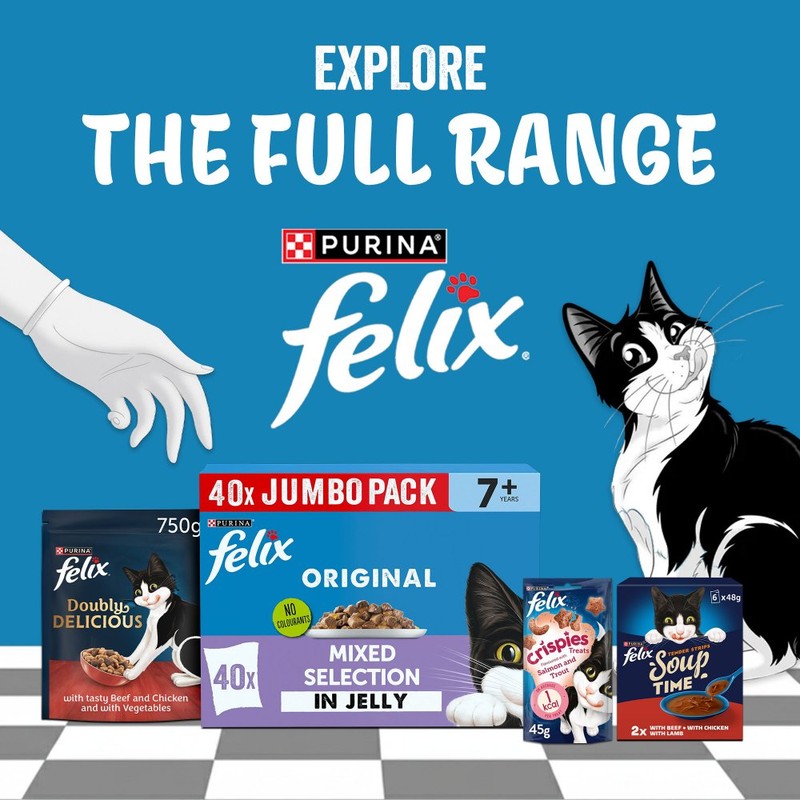 Felix Original Cat Food Senior Mixed Selection in Jelly Wet Cat Food ...