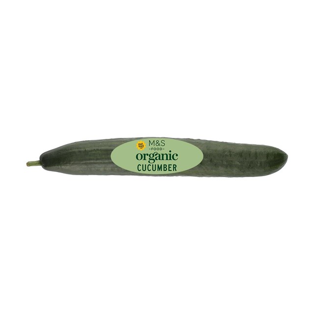 M&S Organic Cucumber - Ocado