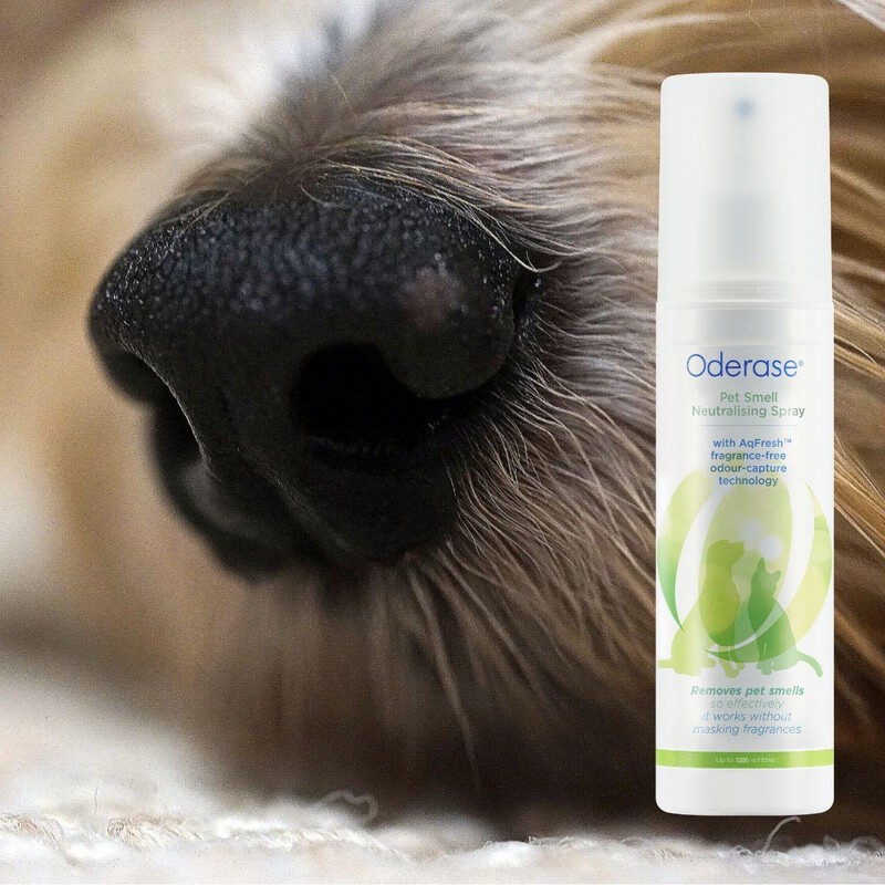 Oderase Pet Smell Neutralising Spray - Ocado