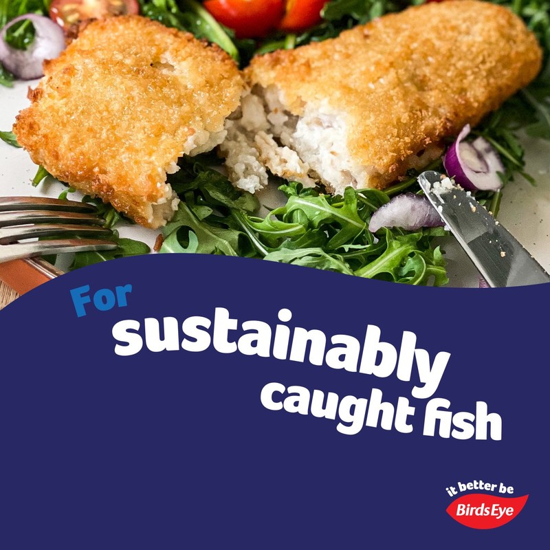 Birds Eye 4 MSC Breaded Cod Fish Fillets - Ocado