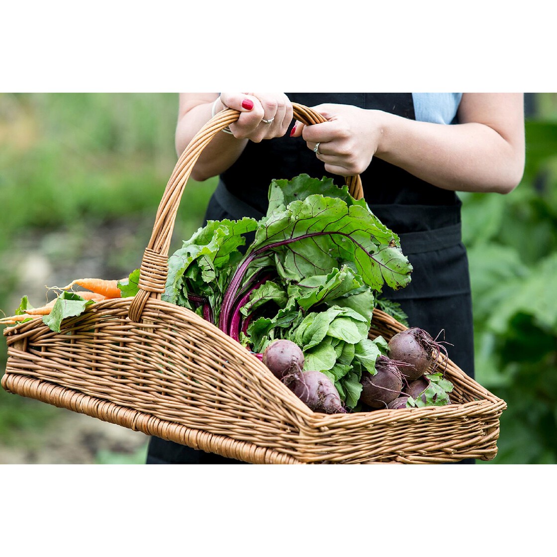 James White Beet It Organic Beetroot Juice with Ginger - Ocado