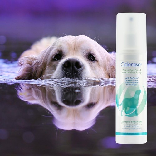 Oderase Damp Dog Smell Neutralising Spray - Ocado