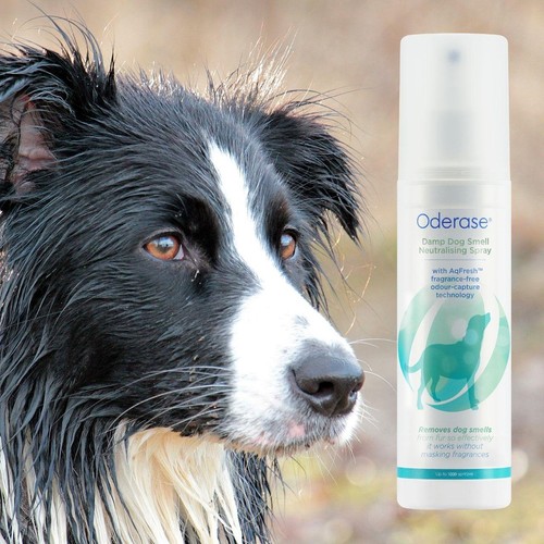 Oderase Damp Dog Smell Neutralising Spray - Ocado