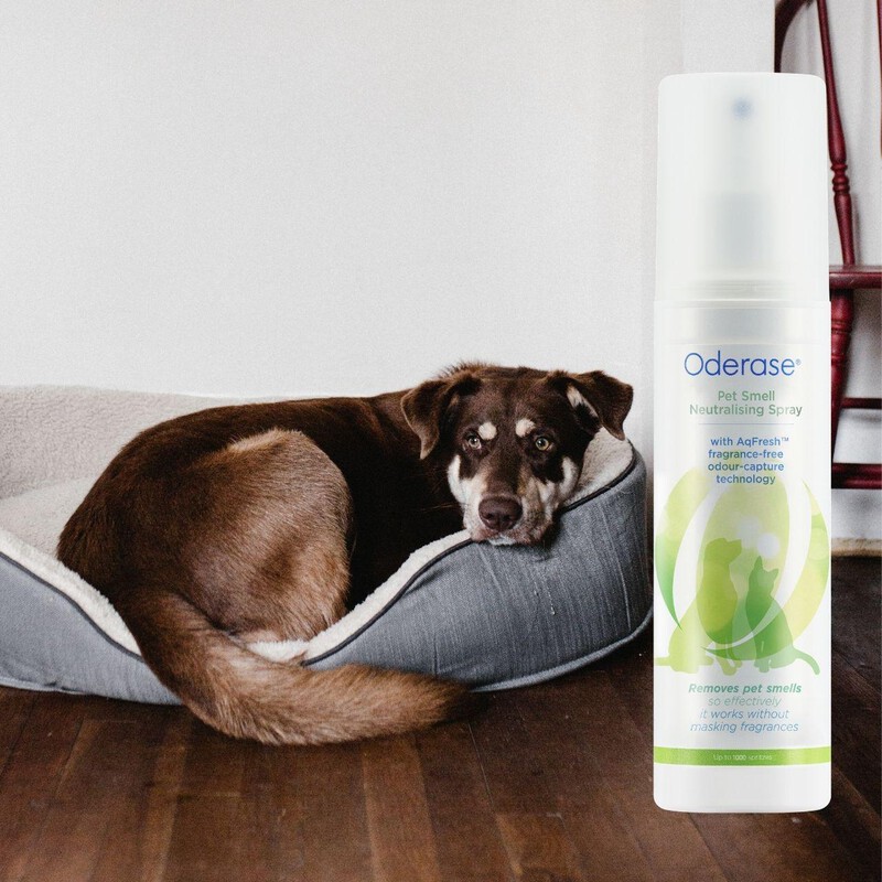 Oderase Pet Smell Neutralising Spray - Ocado